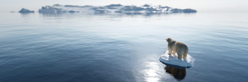 Climate Change Risk Assessment and EP4 | WKC Group