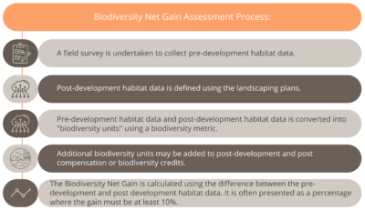 Using GIS to calculate Biodiversity Net Gain | WKC Group