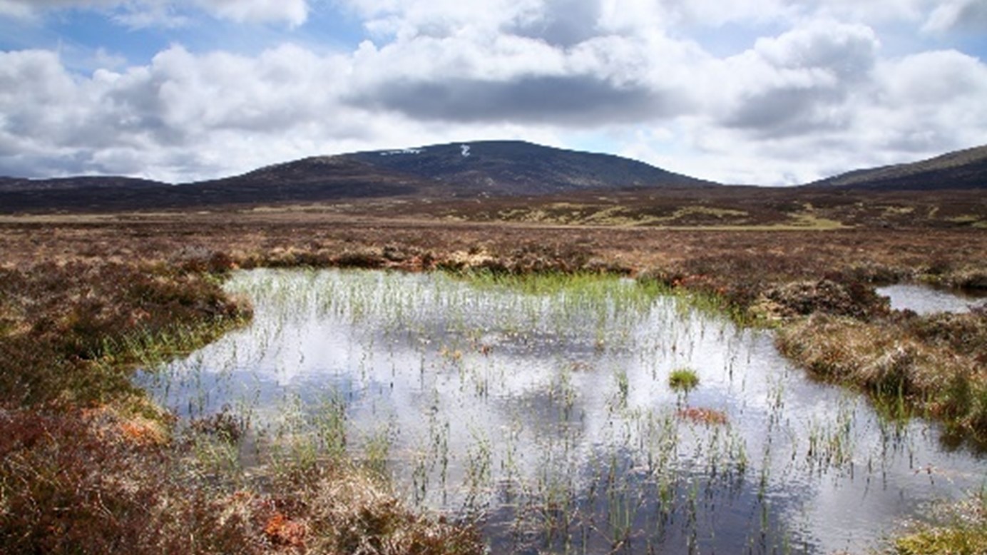 The Use of GIS in Peatland Restoration | WKC Group