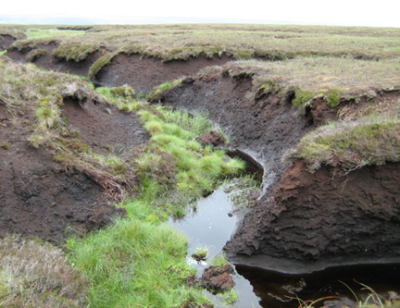 The Use of GIS in Habitat Restoration | WKC Group