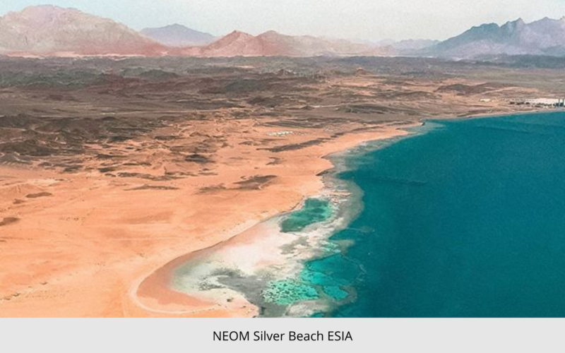 WKC Group gains approval as a NEOM ESIA Consultant | WKC Group