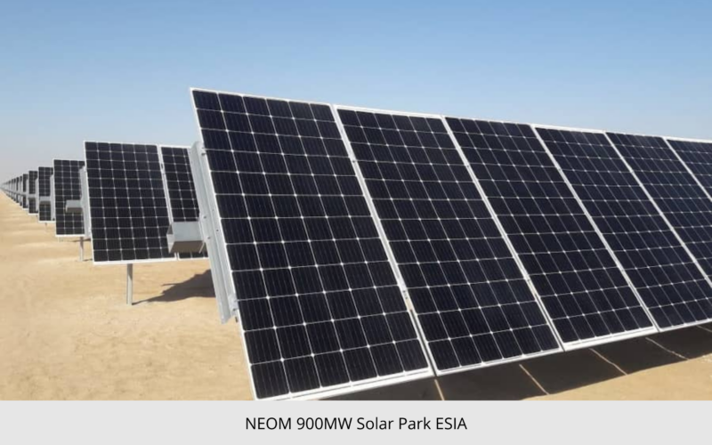 WKC Group gains approval as a NEOM ESIA Consultant | WKC Group