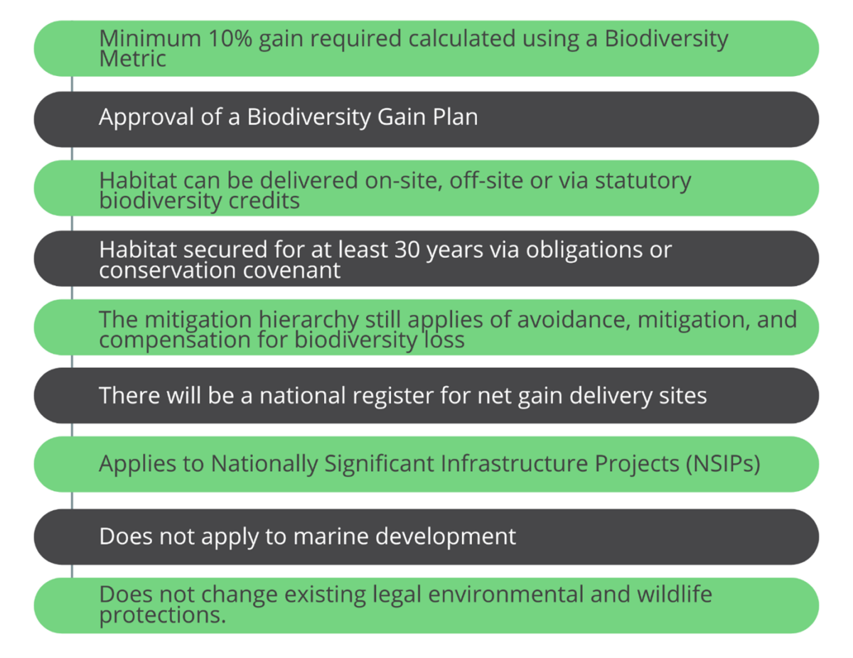 UK Environment Act 2021 and Biodiversity Net Gain | WKC Group