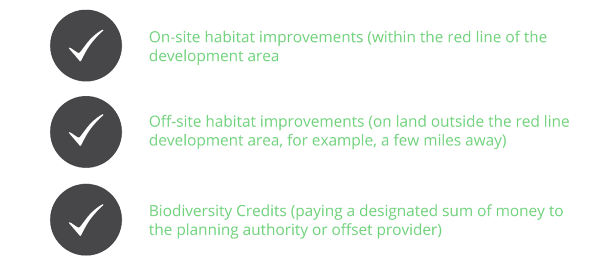 UK Environment Act 2021 and Biodiversity Net Gain | WKC Group