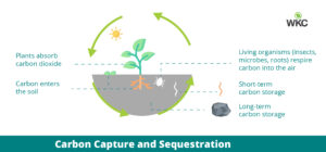 Carbon Capture and Sequestration Services | WKC Group