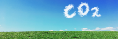 Carbon Capture in the Natural Environment | WKC Group