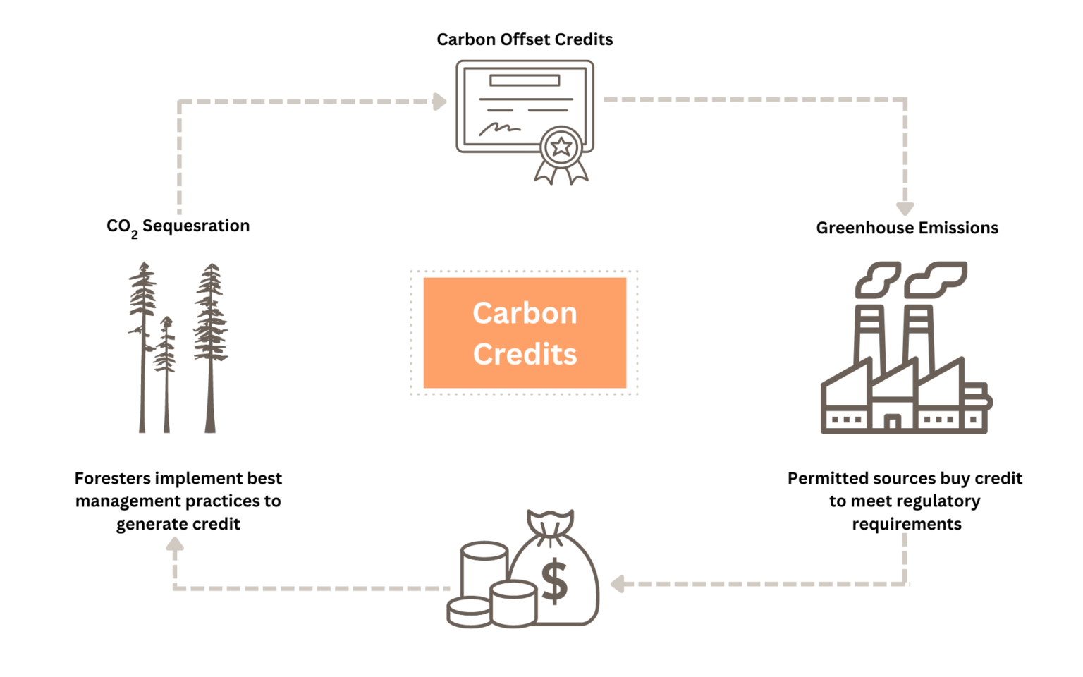 Carbon Capture in the Natural Environment | WKC Group