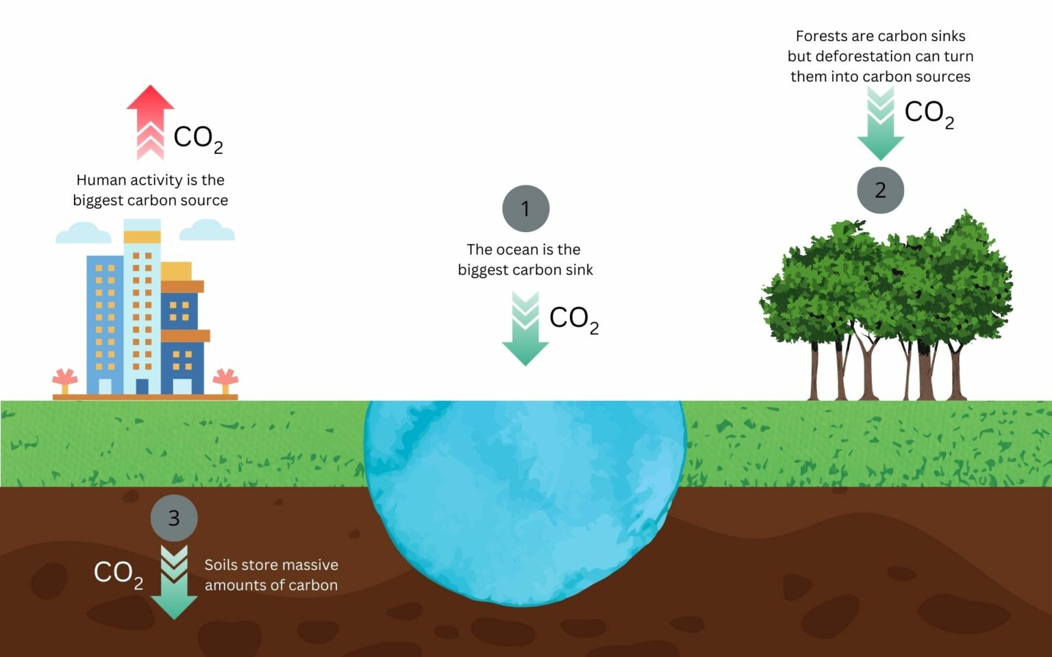 Carbon Capture in the Natural Environment | WKC Group